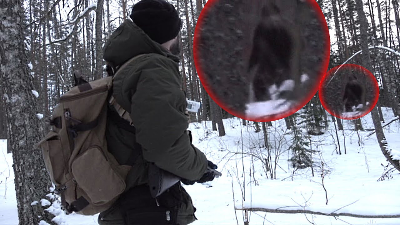 ТАЙНА СНЕЖНОГО ЧЕЛОВЕКА РАСКРЫТА / THE BIGFOOT MYSTERY REVEALED - YouTube