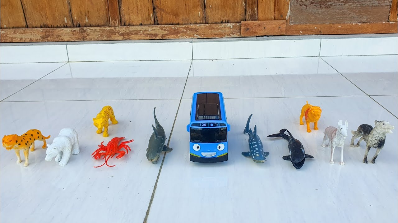 MENCARI DAN MENEMUKAN MAINAN singa harimau macan tutul anjing srigala ...