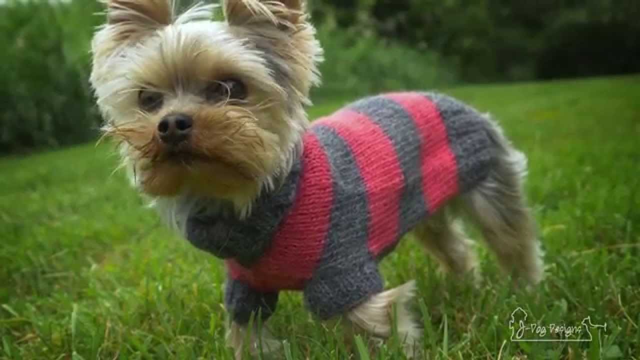 J Dog Designs 2014 - YouTube