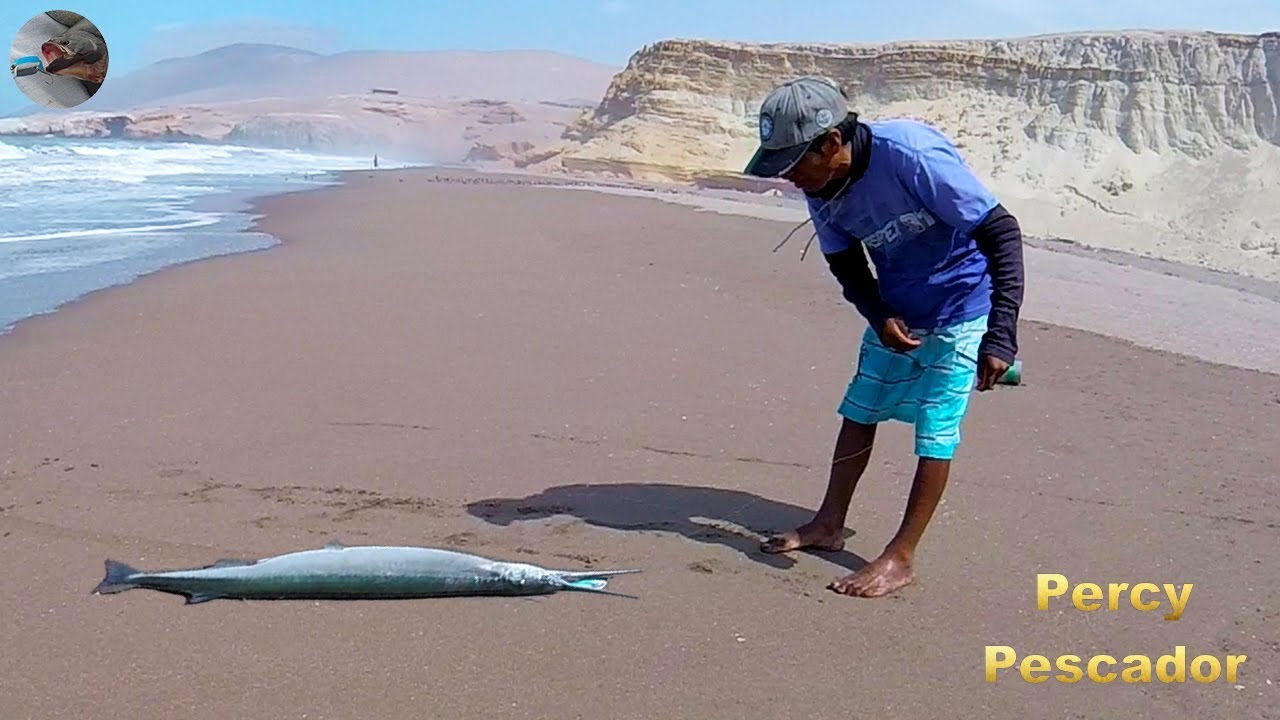 ¡ OBSERVA ! Pescador Se Asombra Al Pescar Pez Con Pico - fishing - YouTube