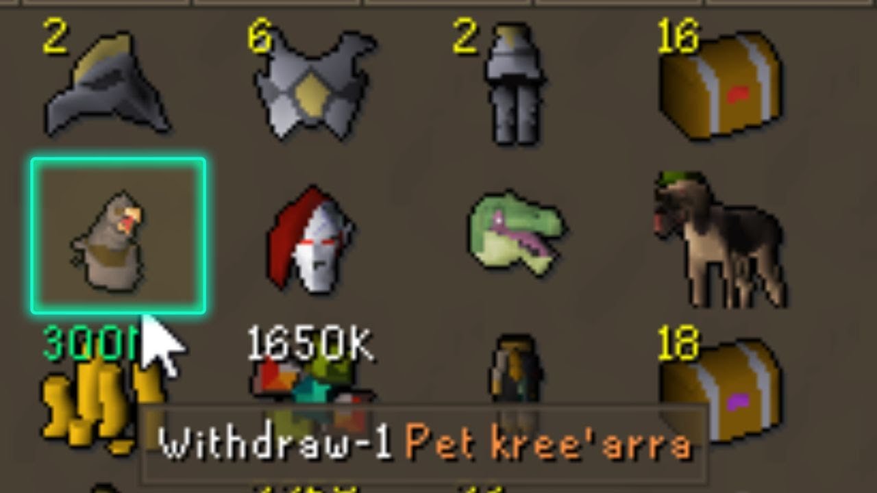 Collected 50 New Items Today Collection Logger #9 - YouTube