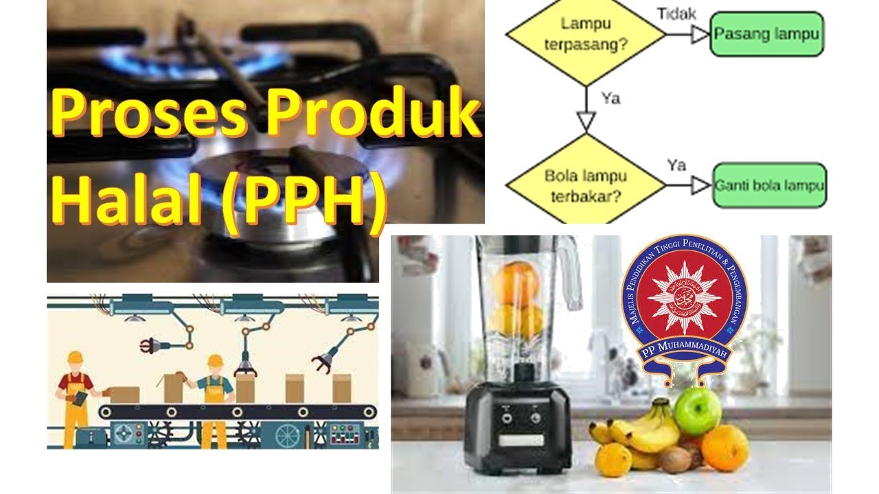 Proses Produk Halal PPH - YouTube