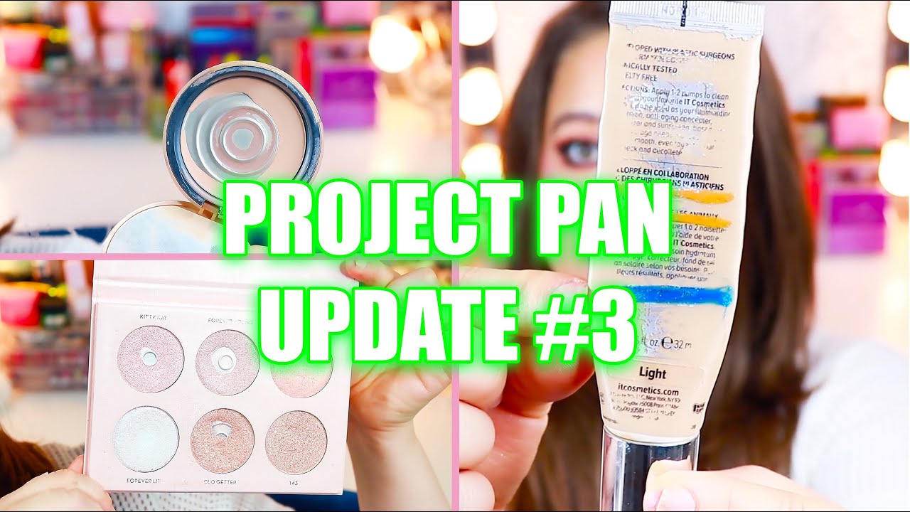 Project Pan Update #3 - YouTube