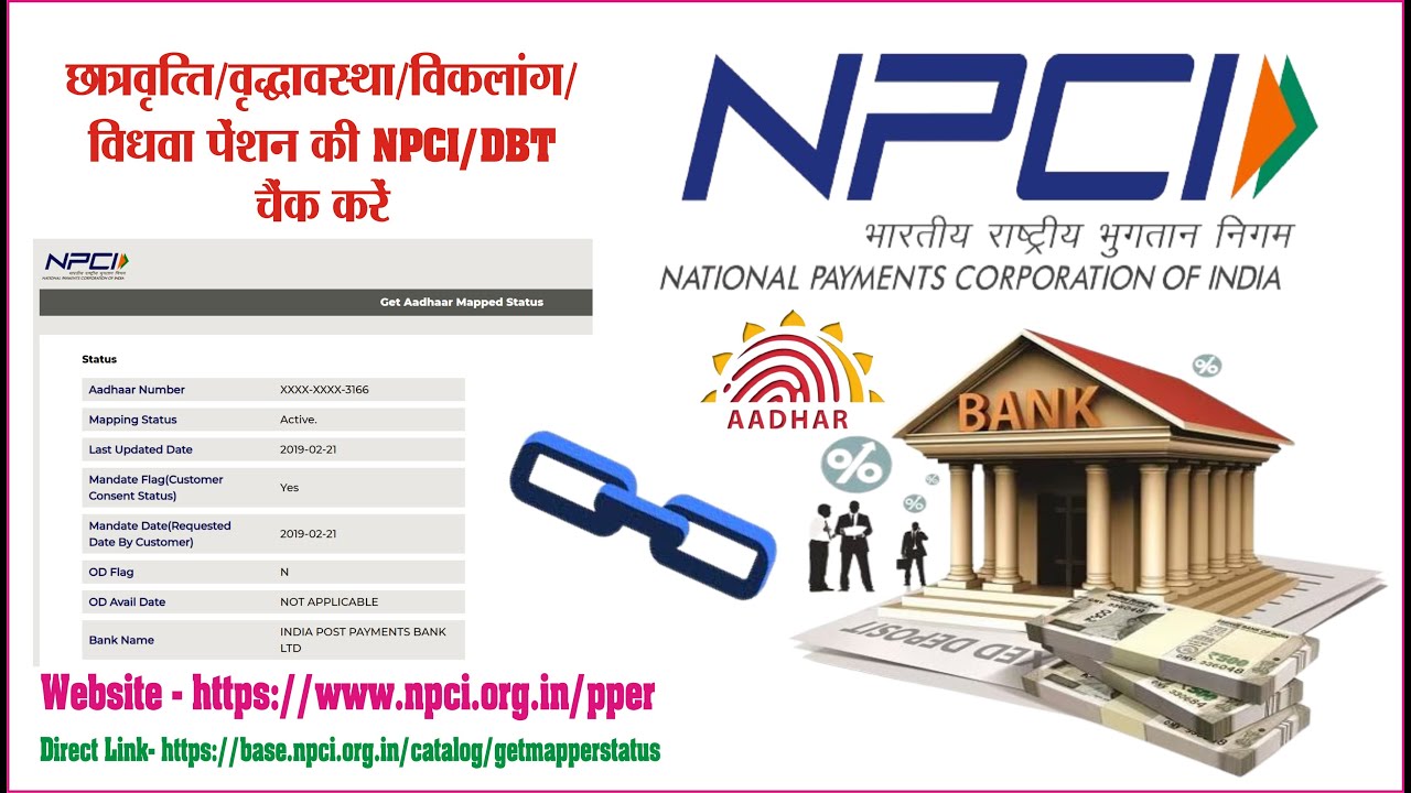NPCI Link To Bank Account Status Check || NPCI DBT Status Kaise Check ...