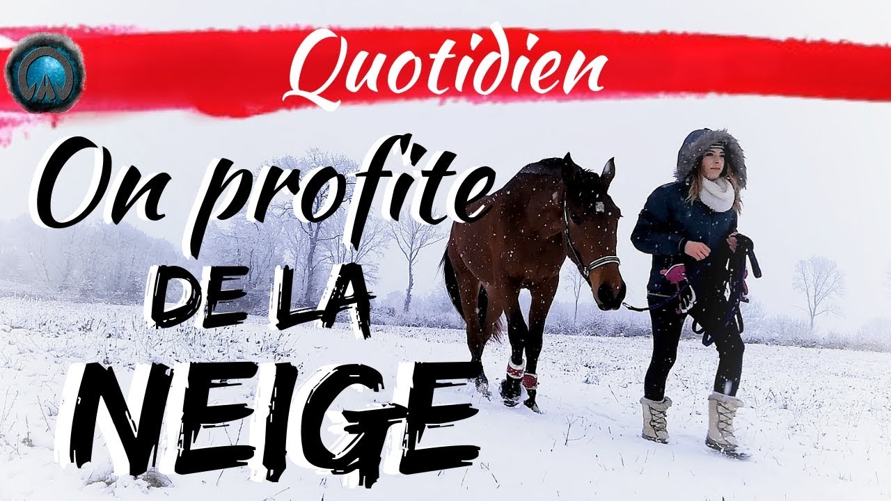 ️Une journée de neige parfaite!! - YouTube