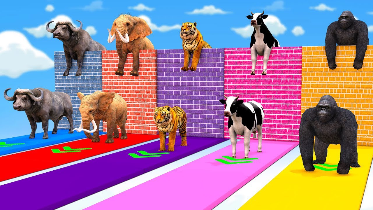 Transformation Game Color Changing Game Gorilla , Buffalo ,Lion ...