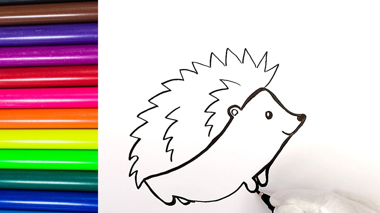 How to draw a cute hedgehog - YouTube