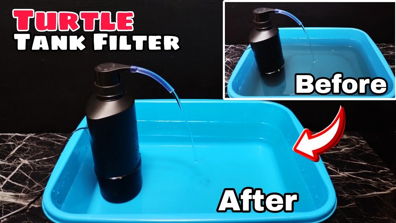Turtle tank filter DIY | Filter for fish tank DIY | Fish tank filter ...