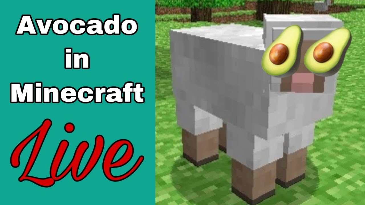 Let's make a GIANT AVOCADO in Minecraft (survival) - YouTube