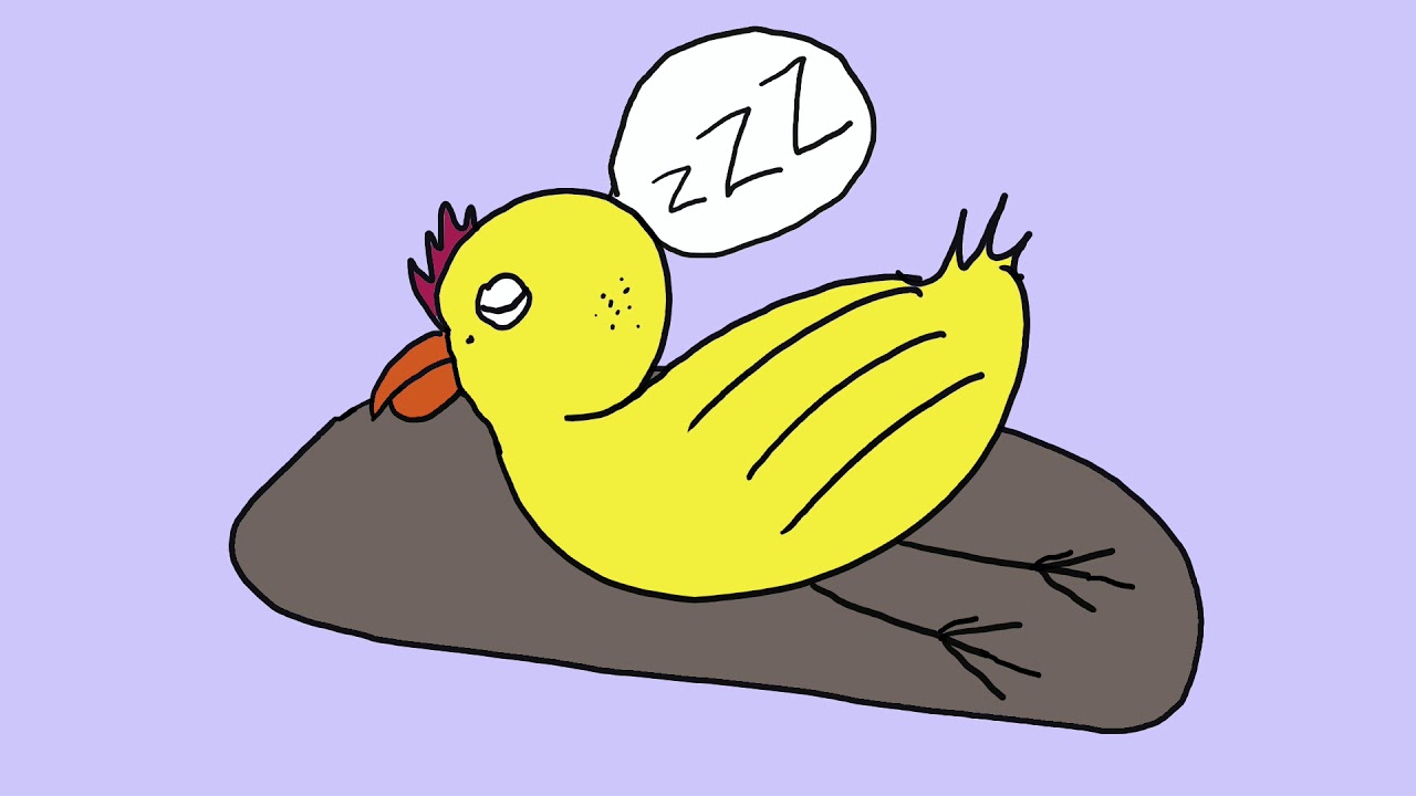 옛날 옛날 삐약이 (Piyaki Story) - 낮잠 편 - YouTube