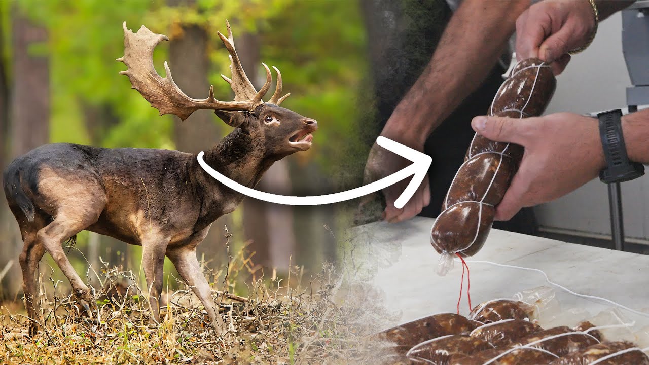 How to make wild venison salami | DIY step by step - YouTube
