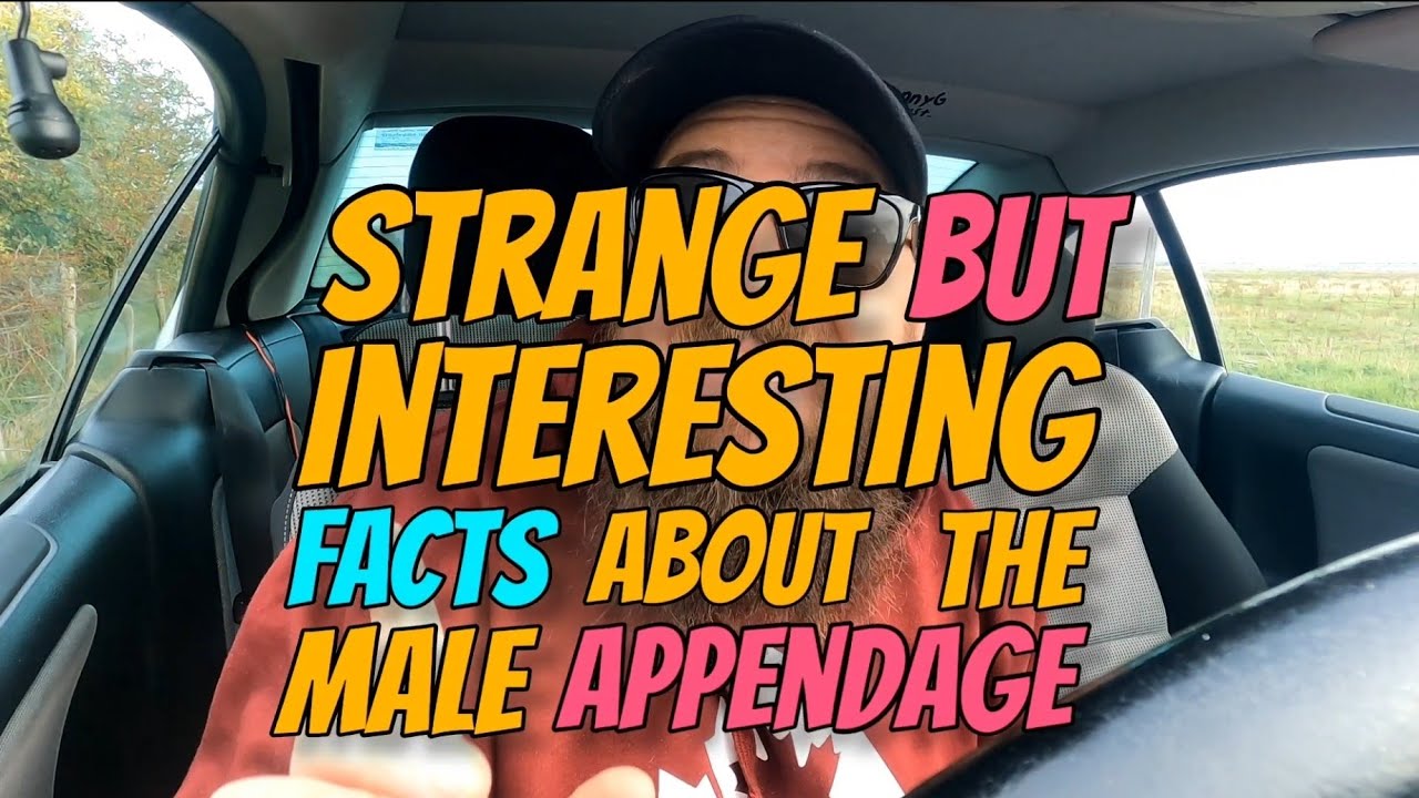 Facts about your schlong! - YouTube