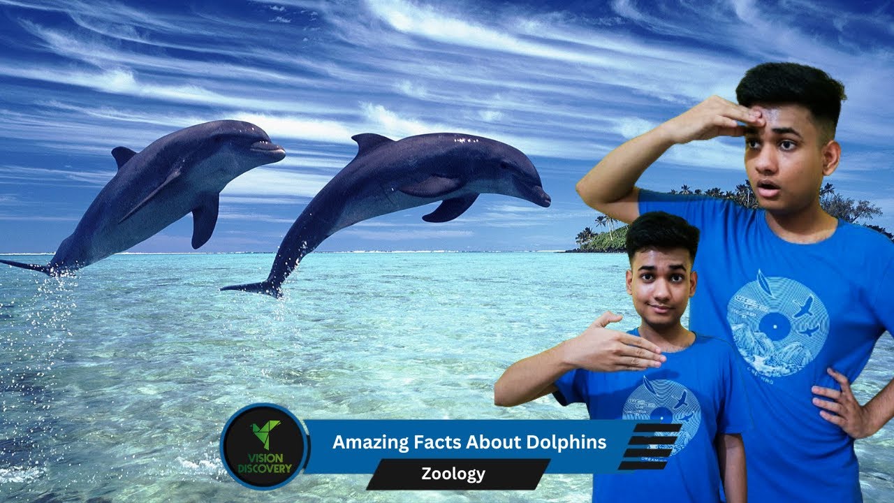 Zoology: Amazing Facts About Dolphins l Indian Sign Language | Vision ...