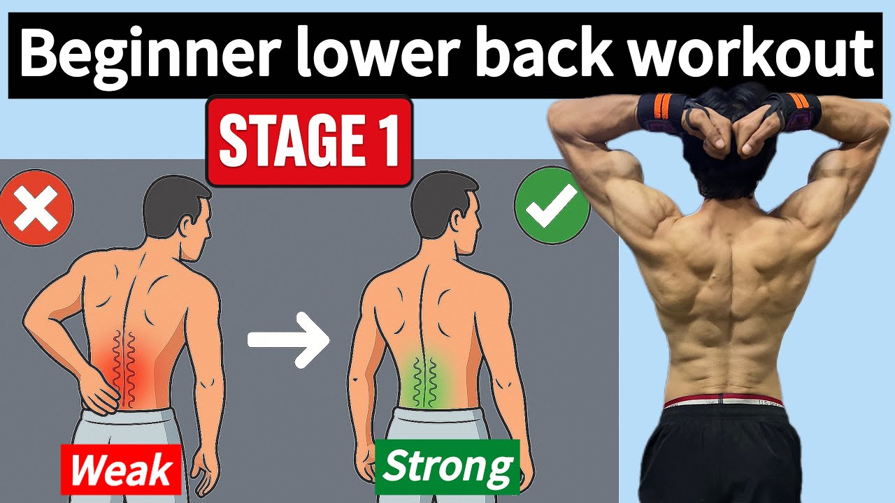Lower Back Workout at home 🏠 - STAGE 1️⃣ #lowerbackworkout # ...