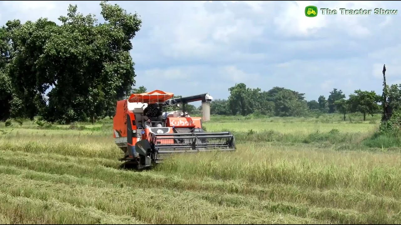 Combine Harvester Working in a Farm Field During Harvest - YouTube