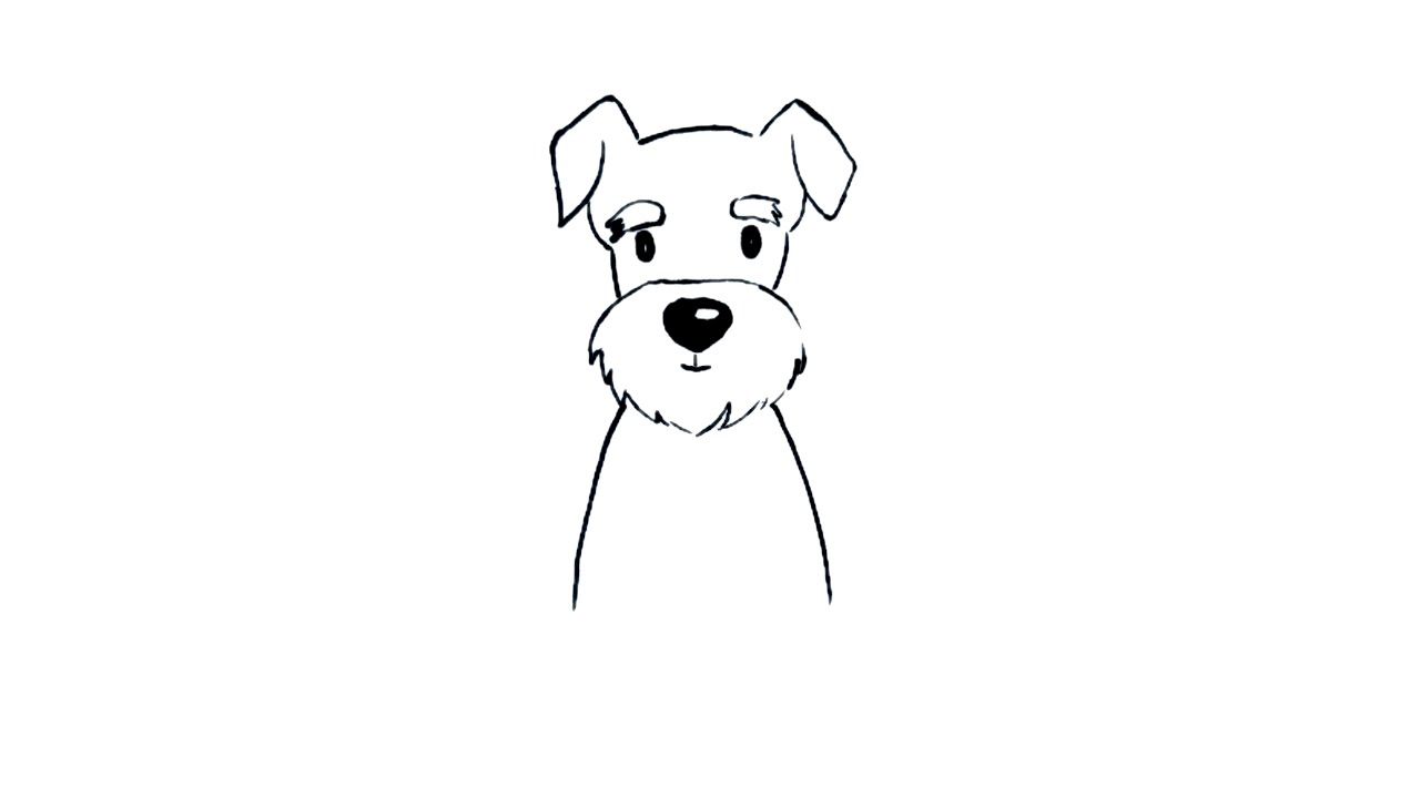 How to Draw a Schnauzer Dog - Quick and Easy Drawing Tutorial - YouTube