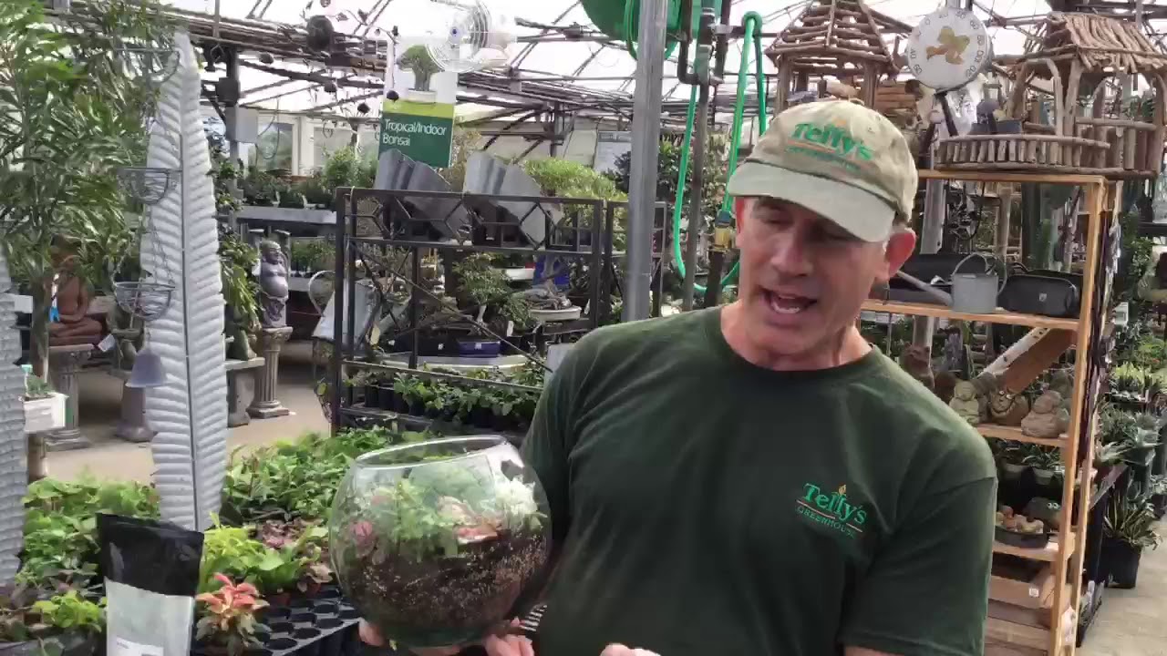 Telly S Greenhouse And Garden Centernull