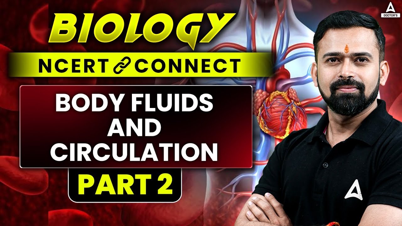 Body Fluids and Circulation Class 11 | NCERT Connect | Zoology NEET ...