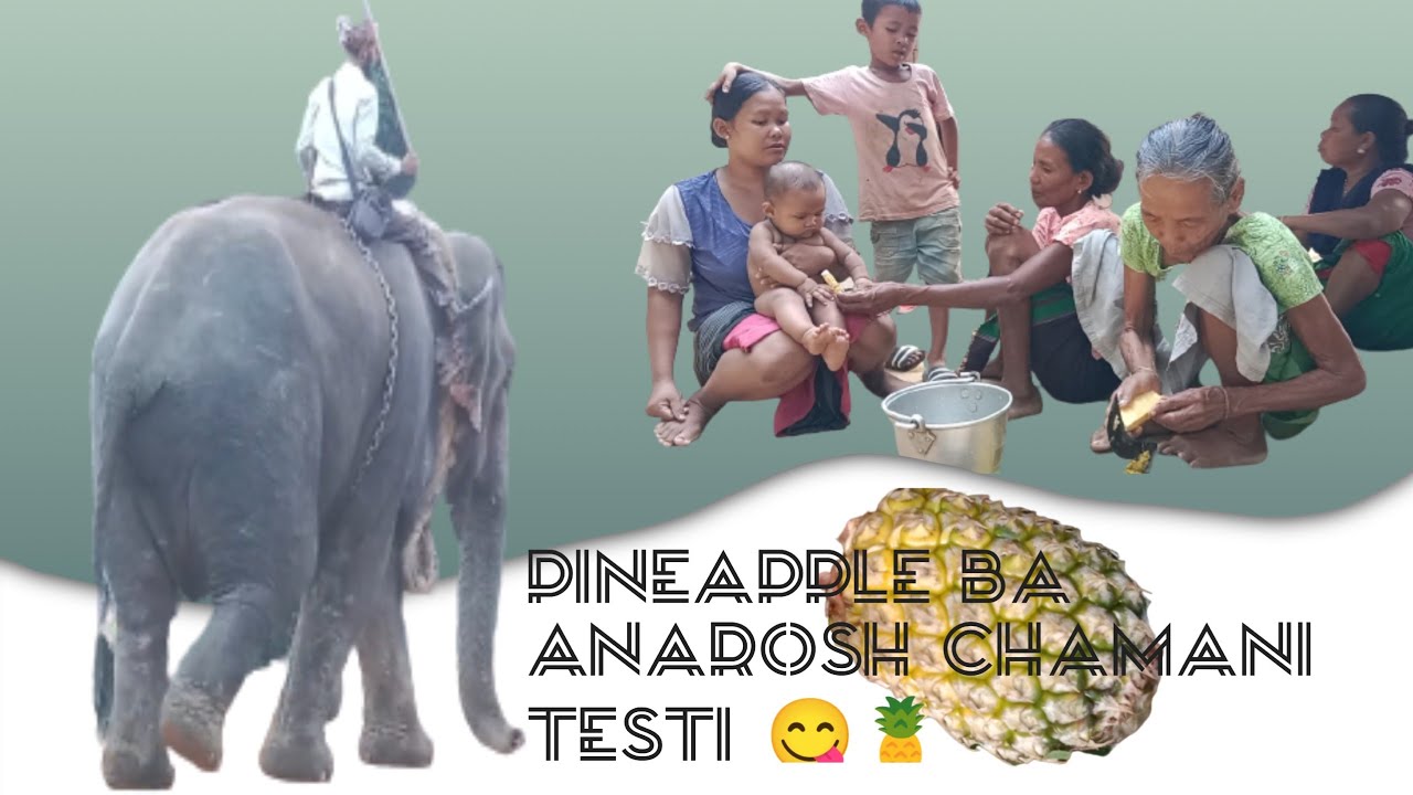 Pineapple Ba Anarosh Chamani Testi @DMNoatiaVlogs9473 - YouTube