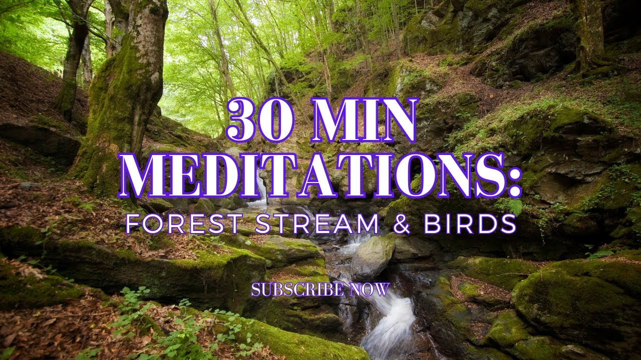 30 Minute Meditations: Forest Stream & Birds - YouTube