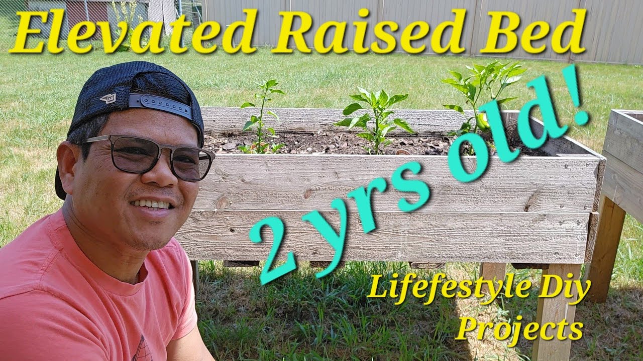 Nakakataas na Kama| 2×4ft How to built Elevated Raised Bed: For Beginners| June 5, 2023 - YouTube