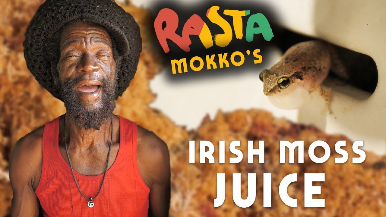 Irish Moss JUICE! Bob Marley Favourite - YouTube