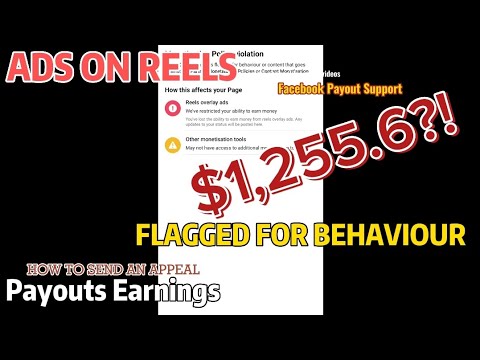 Flagged for behaviour | Facebook payouts support | Ads on reels ...