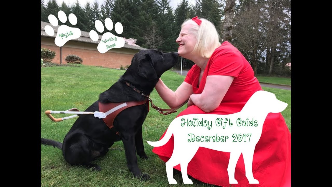 Guide and Service Dog Holiday Gift Guide 2017 - YouTube