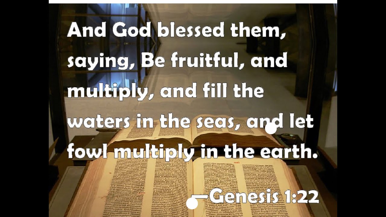 GOD BLESSED US TO BE FRUITFUL (Part 1) - YouTube