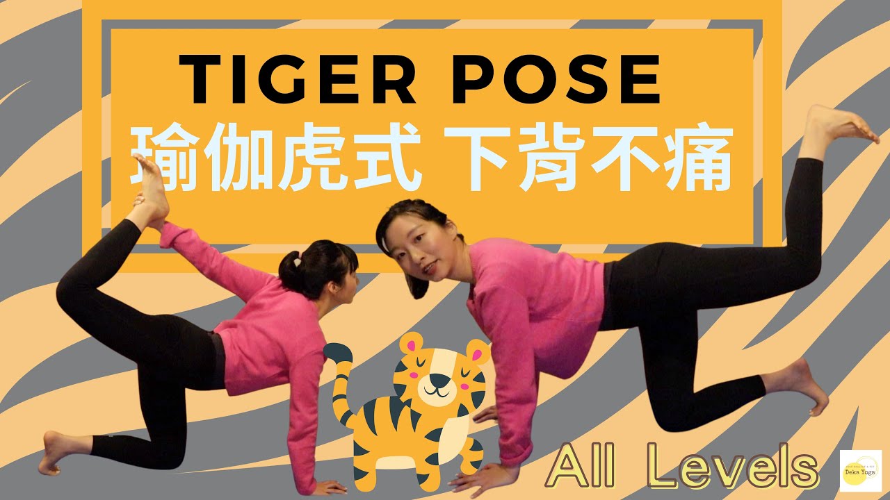 How to do Tiger Pose & One Handed Tiger Pose | 虎年一起做虎式 改善下背痛 初學適用 - YouTube