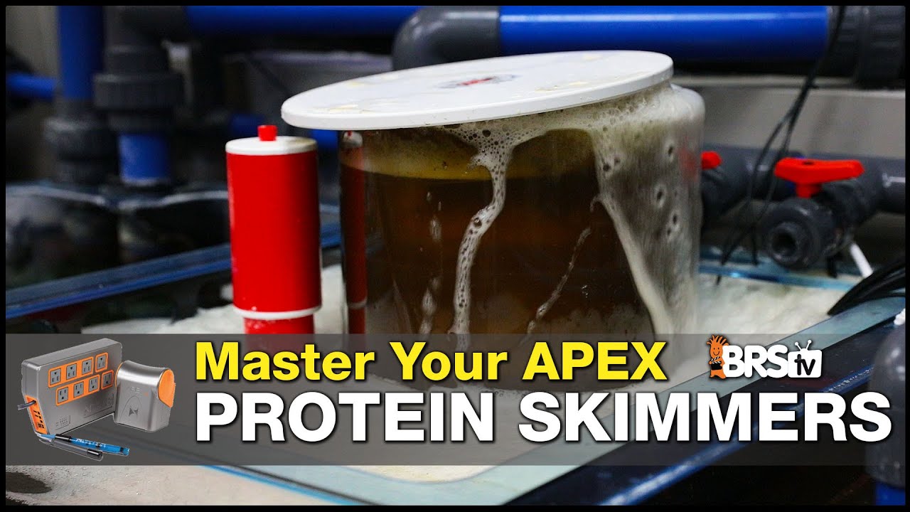 Issues With Your Protein Skimmer? Here’s How the Neptune Apex Can Help ...