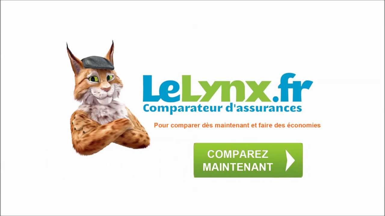 LeLynx.fr - Pub TV Irruption - YouTube