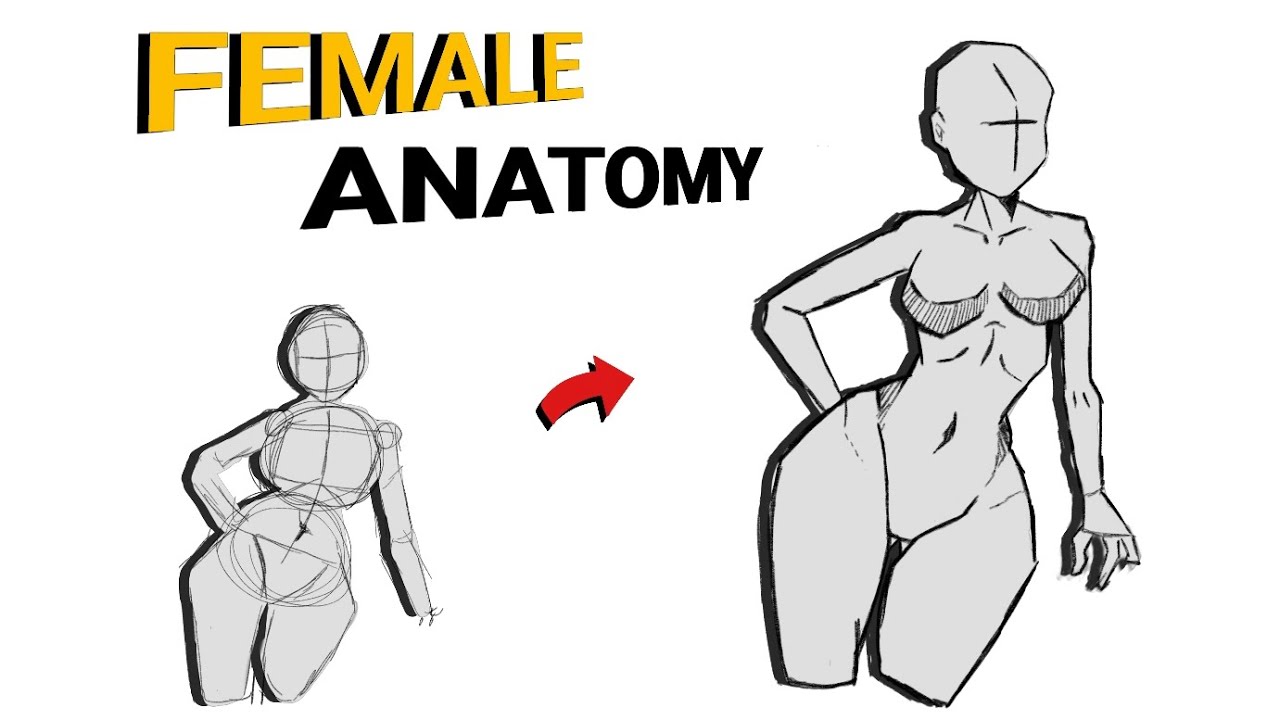 Easy Female Anatomy Drawing For Beginners Easy To Draw Youtube