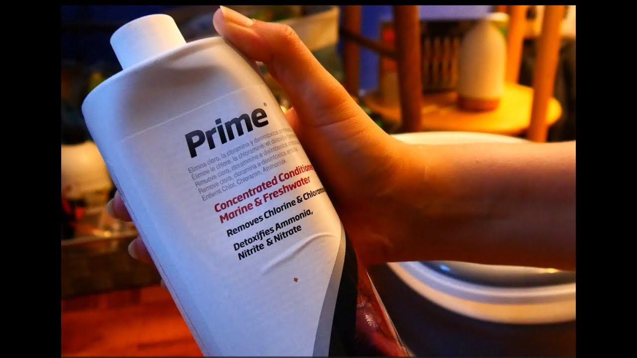 How to dechlorinate tap water for fish tank - YouTube