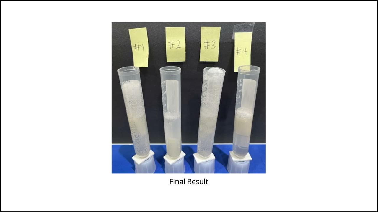 Potato Enzyme (Catalase) Lab - STEM SOS PBL Level 2 Project - YouTube