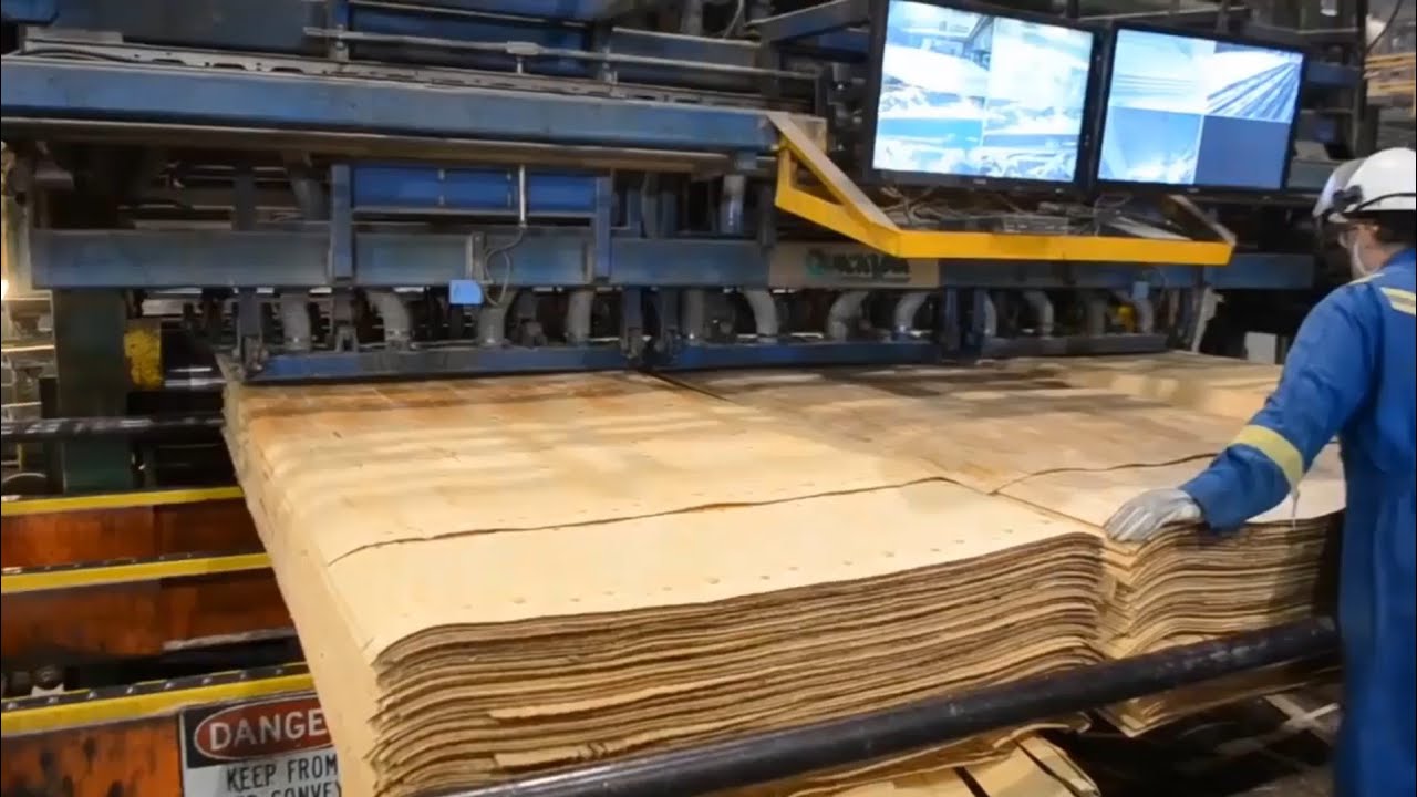 Amazing Plywood Manufacturing Process | Latest Woodworking Machinery ...