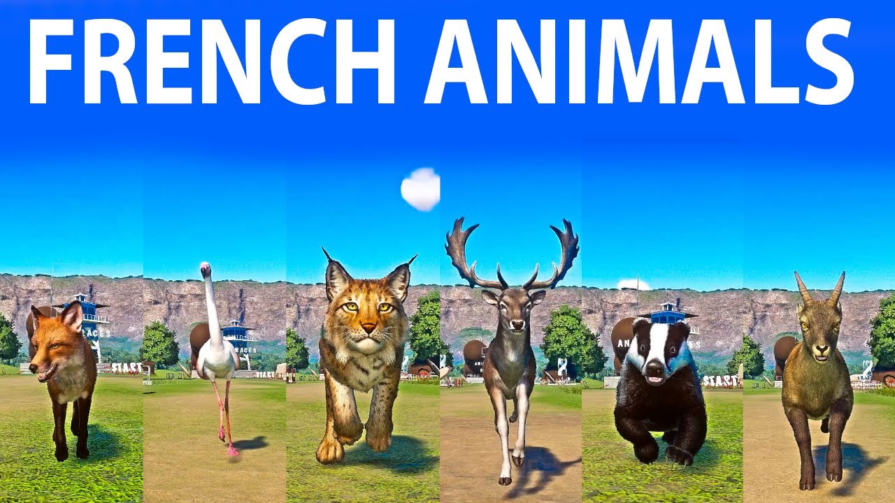 French Animals Speed Races in Planet Zoo included Lynx, Deer, Fox ...