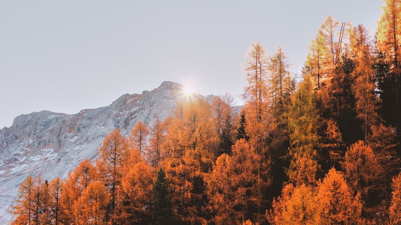 AUTUMN | Post-Rock Ambient Electronic Chill Mix - YouTube