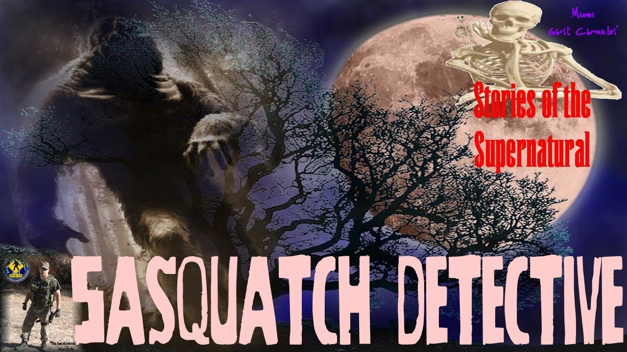 Sasquatch Detective | Interview with Steve Kulls | Stories of the ...