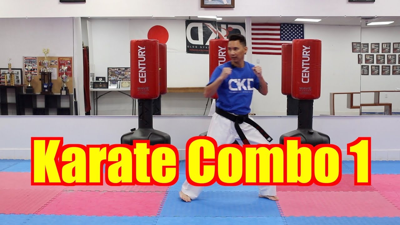 KARATE for Beginners - Lesson 4 / Karate combo - YouTube