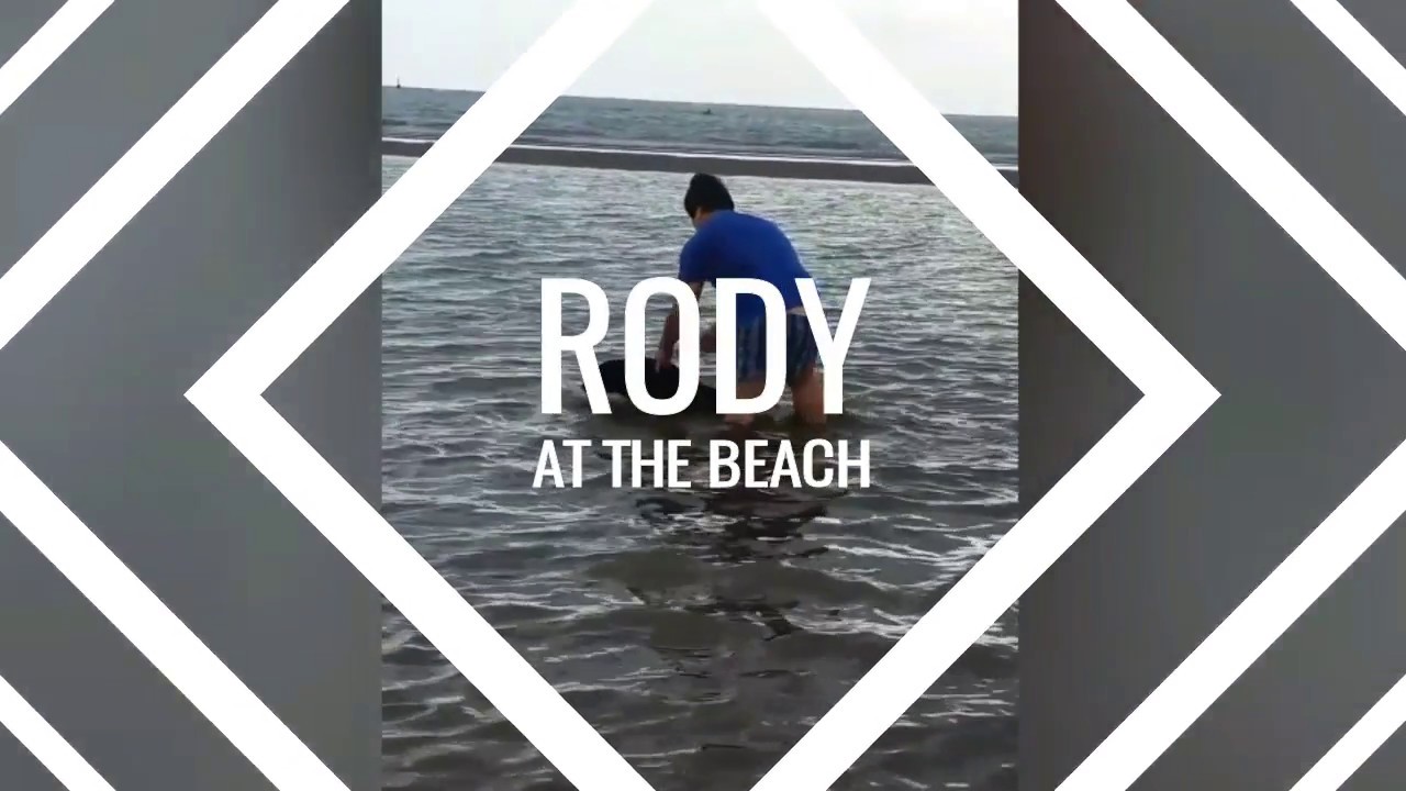 Happy Dog "Rody" First Time at the Beach - YouTube