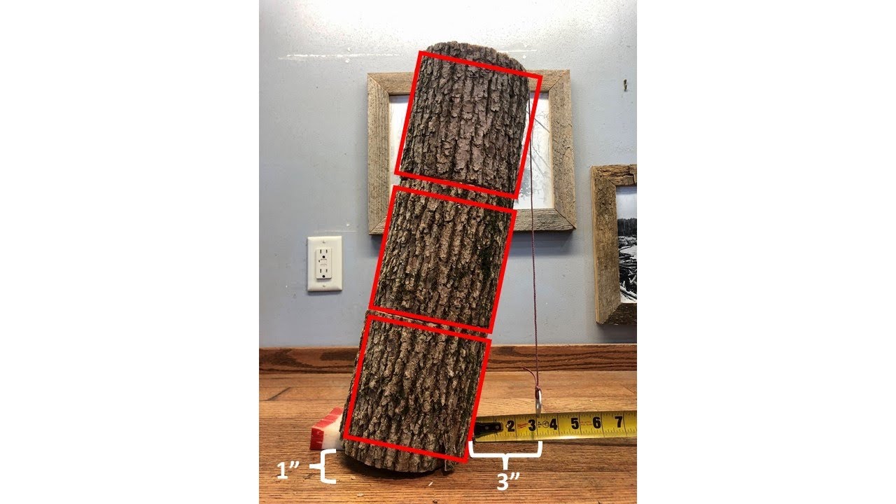 Mechanical advantage (felling plan 4 of 8) - YouTube