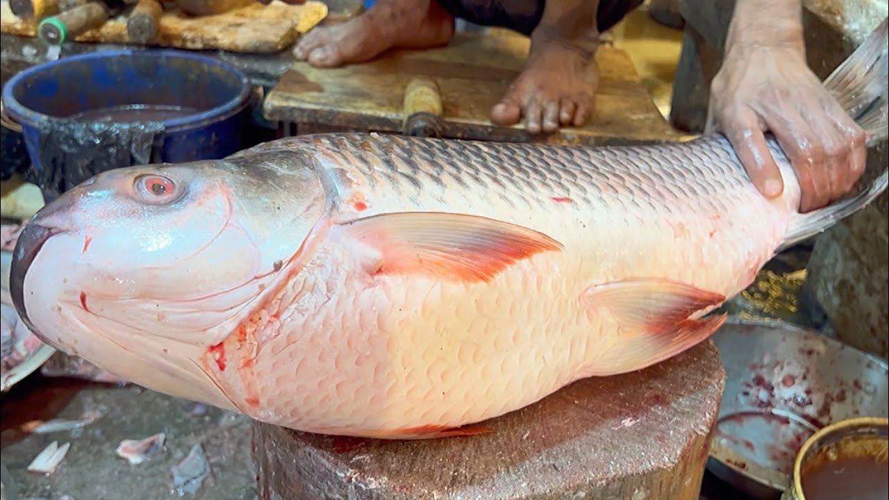 Amazing Giant Rohu Fish Cutting Skills Live In Fish Market | Fish ...