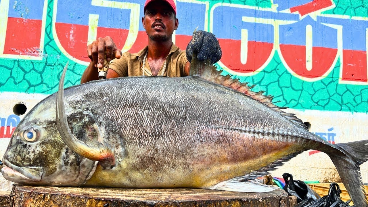 KASIMEDU 78 KG BIGGEST GIANT TREVALLY FISH CUTTING VIDEO / CUTTING ...