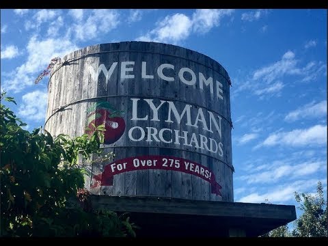 Apple Picking Lyman Orchards - YouTube