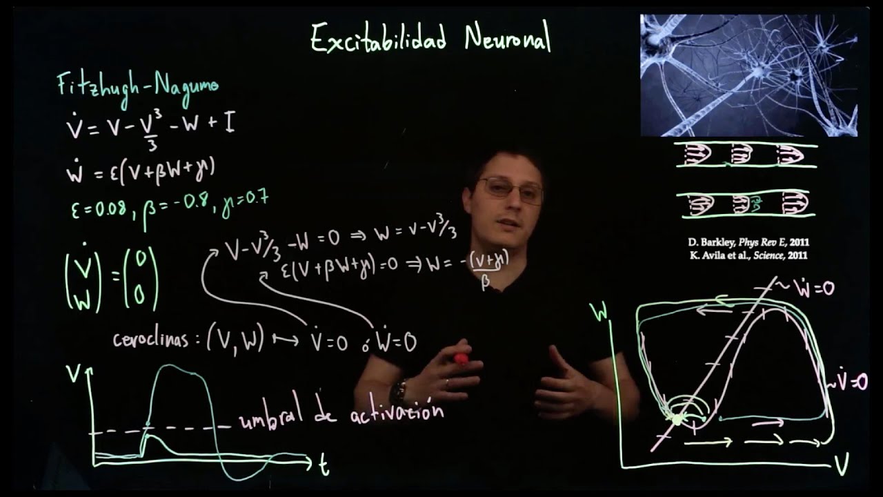 Excitabilidad neuronal - YouTube
