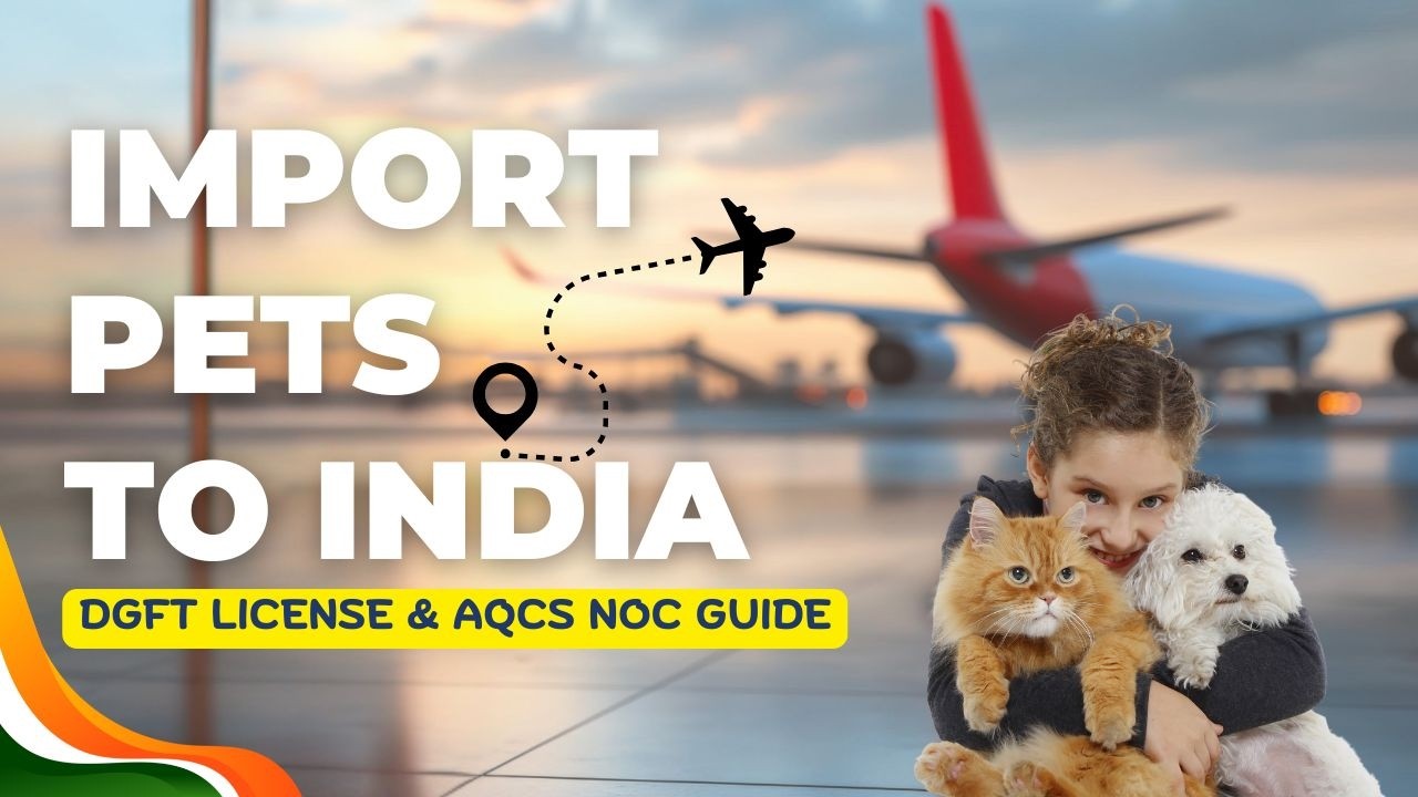 How to Import Pets to India | Import rules, DGFT License + AQCS NOC ...
