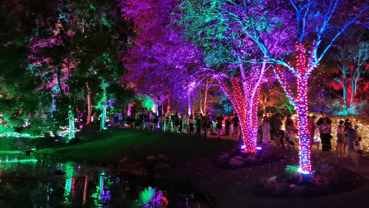 Magic of lights - YouTube