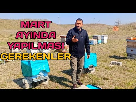 Mart Ayında Arıya Yapılması Gereken Uygulamalar | Mart Ayında Ne Yapmalıyız ne fayda detaylı anlatım