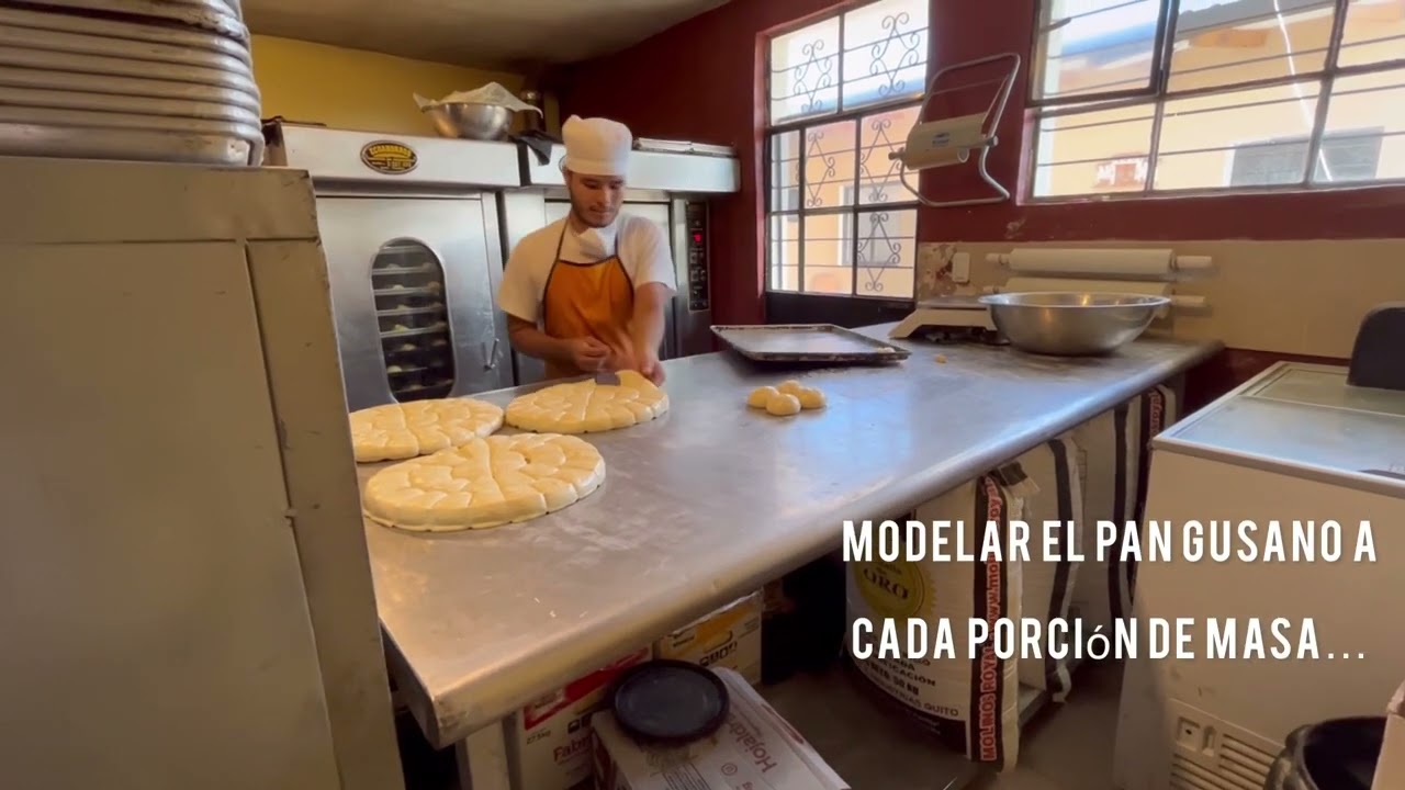 Proceso productivo de pan gusano - YouTube